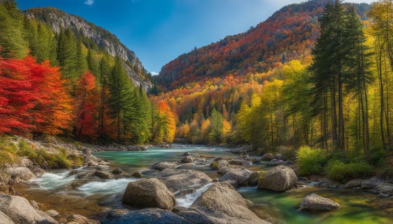 Which is Better: JPEG Fine or Normal? Discover the Difference.